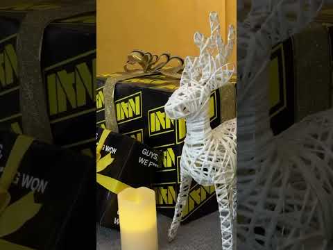 NAVI CS2 — the most popular team on Liquipedia in 2023 - Natus Vincere